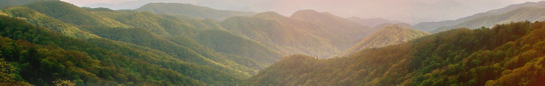 Contact Us - Rural Physicians Group