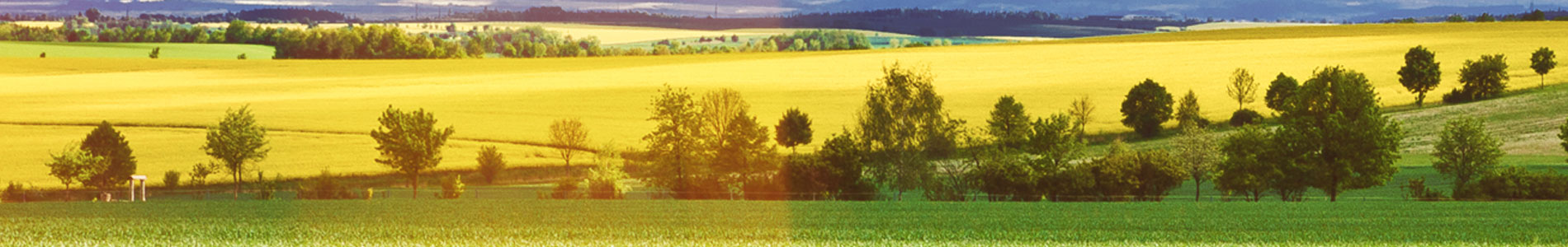 Rural General Surgery Programs - Rural Physicians Group
