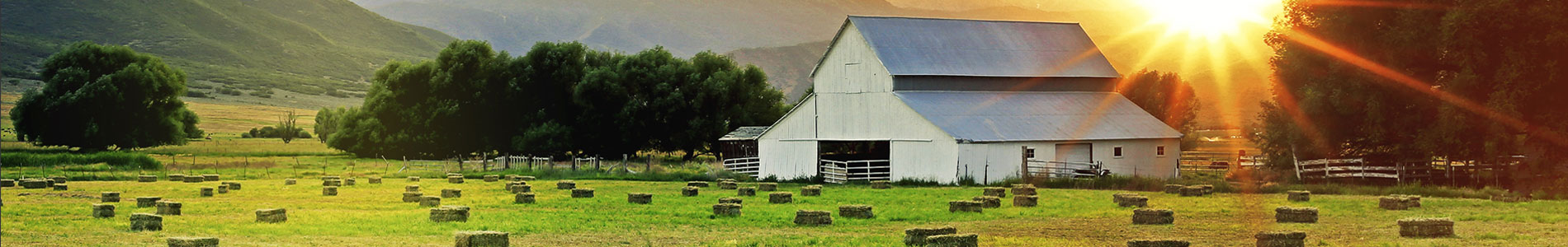 Careers Practicing Rural Medicine - Rural Physicians Group